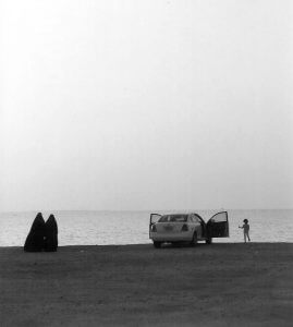 Reconciliation, a Tale of Two Seas - The Arab Daily News