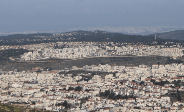 Karshat, stuffed lamb intestines recipe - The Arab Daily News